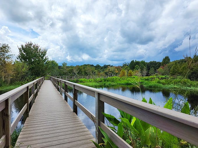 Nature trails that don't require mountain-climbing skills – just peaceful boardwalks where the only traffic is the occasional turtle crossing.