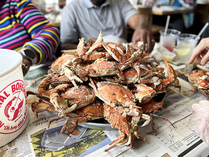 The mountain of steamed crabs isn't just a meal—it's an event, a celebration, a delicious puzzle waiting to be solved with mallets and determination.