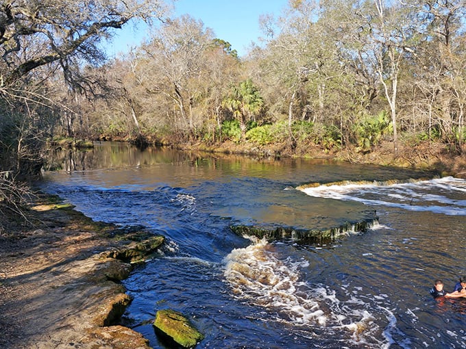Steinhatchee Falls offers Florida's version of a mountain cascade – gentle limestone steps where the river whispers secrets to those who pause to listen.