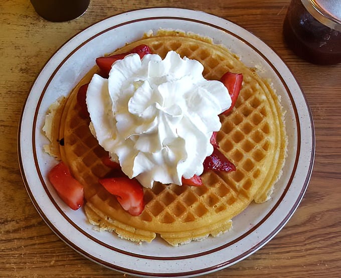Strawberry waffles topped with a cloud of whipped cream – proof that sometimes the simplest combinations are the most irresistible.