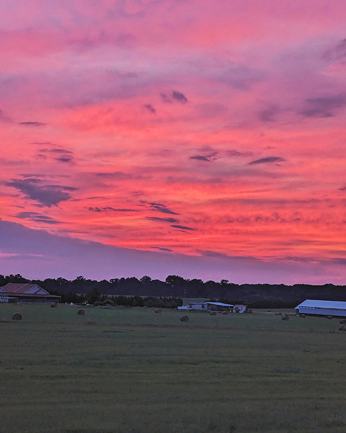 Georgia sunsets put on a show that makes even the most jaded travelers stop mid-sentence—nature's version of Broadway lights over peaceful farmland.