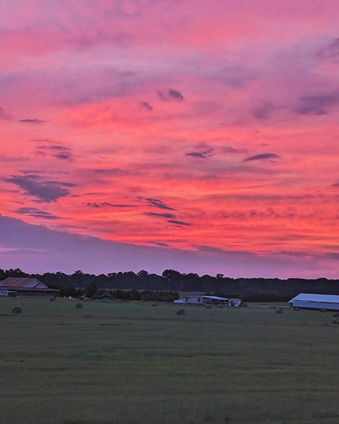 Georgia sunsets put on a show that makes even the most jaded travelers stop mid-sentence—nature's version of Broadway lights over peaceful farmland.