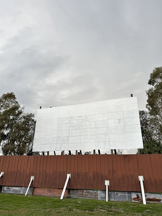 The massive screen against twilight trees creates nature's perfect frame. Even empty, it promises stories waiting to unfold.