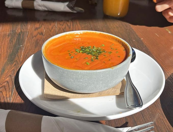 This tomato soup isn't the stuff from your childhood can. Vibrant, velvety, and topped with fresh herbs—comfort food that went to culinary school.