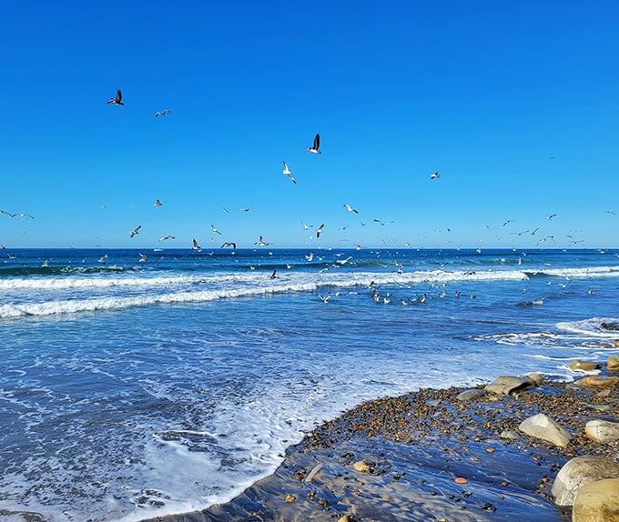 Where the Pacific meets poetry – Torrey Pines Beach offers the kind of waves and wide-open shoreline that make surfers wax philosophical.