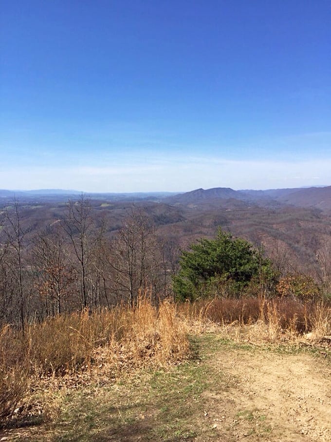 From this elevated perch, the Blue Ridge Mountains stretch endlessly like wrinkles on a well-loved quilt.