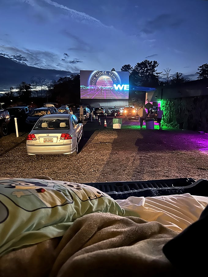 Blankets, pillows, and a movie under the stars—the Swan Drive-In perfects the art of watching films horizontally, as nature intended.