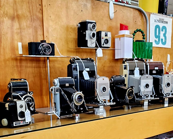 These vintage cameras once captured family vacations and first days of school. Now they're artistic relics from when "developing photos" meant something entirely different.