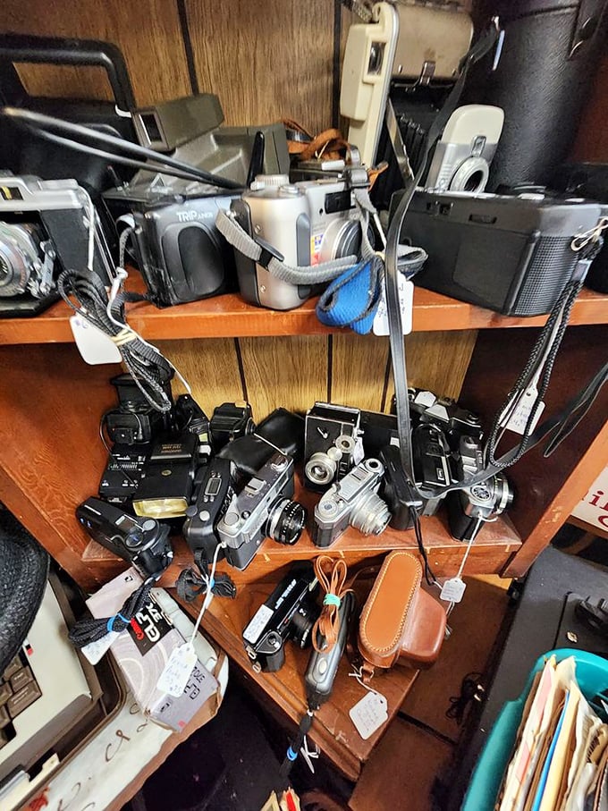 A photographer's dream corner – these vintage cameras once captured family vacations, first steps, and wedding days long before the age of selfies.
