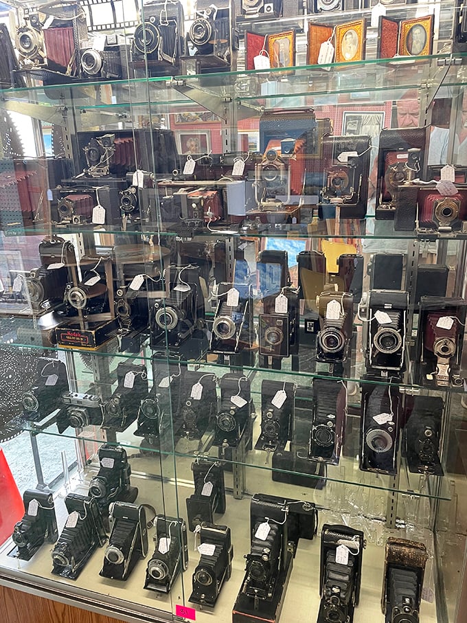 A museum-worthy collection of vintage cameras that captured someone's wedding, vacation, or baby's first steps long before Instagram filters existed. 