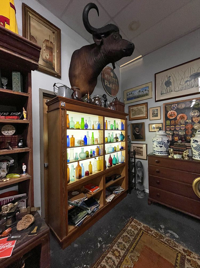 This illuminated cabinet of colorful vintage bottles sits beneath a watchful buffalo—proof that lighting makes all the difference in antique displays.