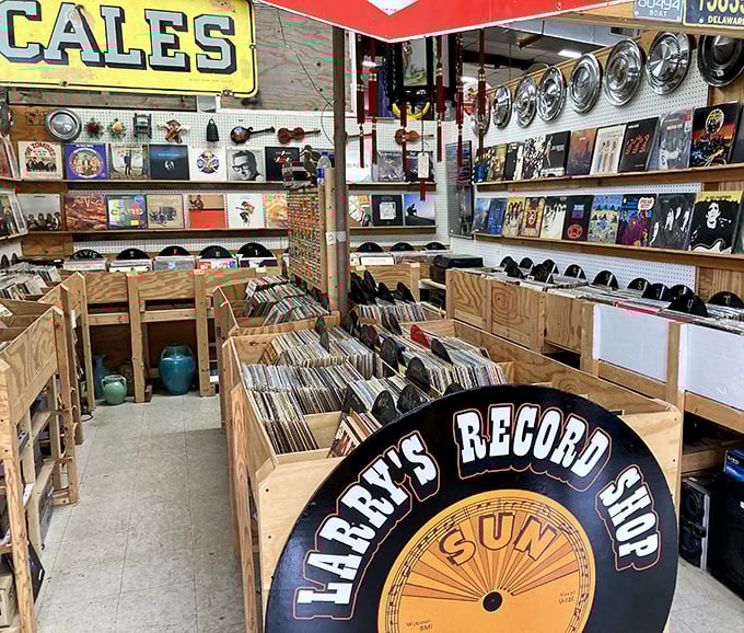Larry's Record Shop isn't just selling vinyl—it's peddling time travel at 33 1/3 RPM. Each album cover is a portal to another era.