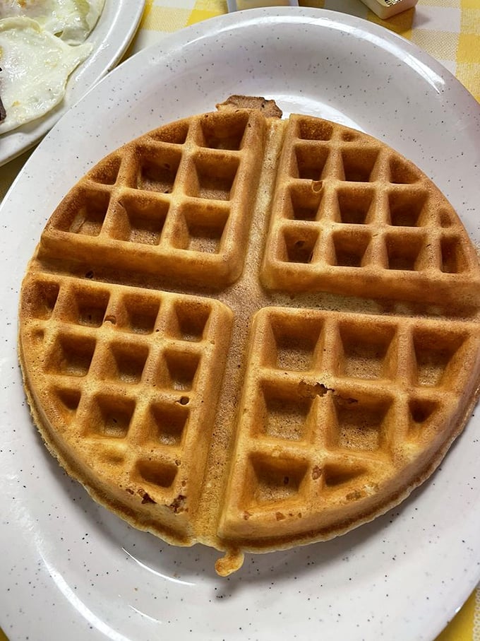 The Belgian waffle that launched a thousand diets-to-be-broken – golden, crisp divots waiting to become swimming pools for maple syrup.