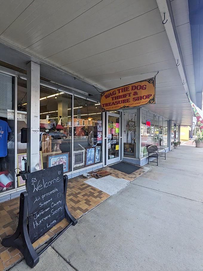 Every small town needs its quirky treasure trove. Wag the Dog Thrift Shop combines retail therapy with community service—the ultimate win-win.