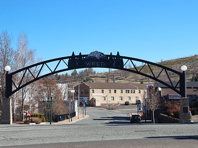 Another angle of Weed's famous welcome arch – where travelers pause for the obligatory photo before texting friends with predictable jokes.