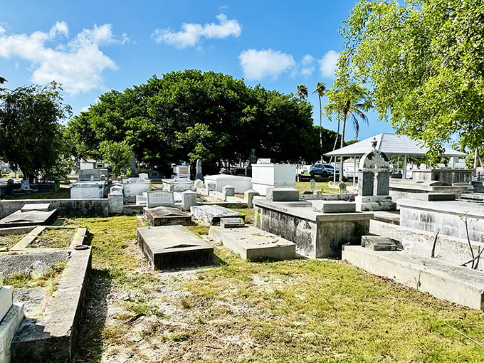 Weathered tombstones tell silent stories under the watchful gaze of ancient trees. Each plot holds chapters of Key West's colorful past.