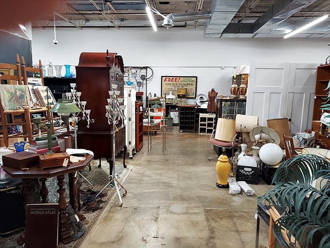 Antique cabinets displaying vintage canisters—because your flour deserves more glamorous housing than that plastic container from Target.