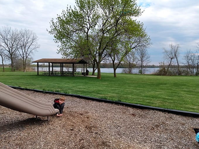 The park's playground and picnic area – where kids burn energy and adults contemplate how slides aren't as fun with adult-sized bodies.