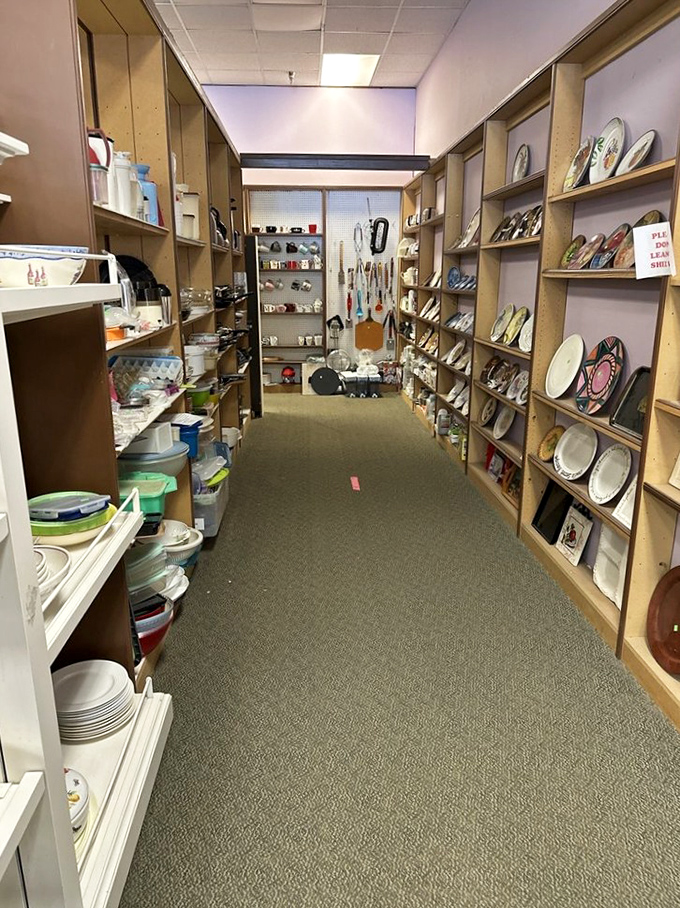 The dishware corridor: a place where mismatched becomes "eclectic collection" and vintage plates find second chances at hosting memorable meals.