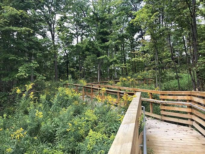 Nature's classroom comes with wooden guardrails – this boardwalk trail invites exploration without disturbing the delicate ecosystem below.