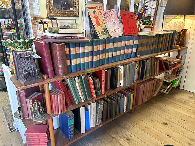 Spines aligned like soldiers of knowledge, these vintage volumes aren't just books—they're time machines bound in leather and waiting for new hands.