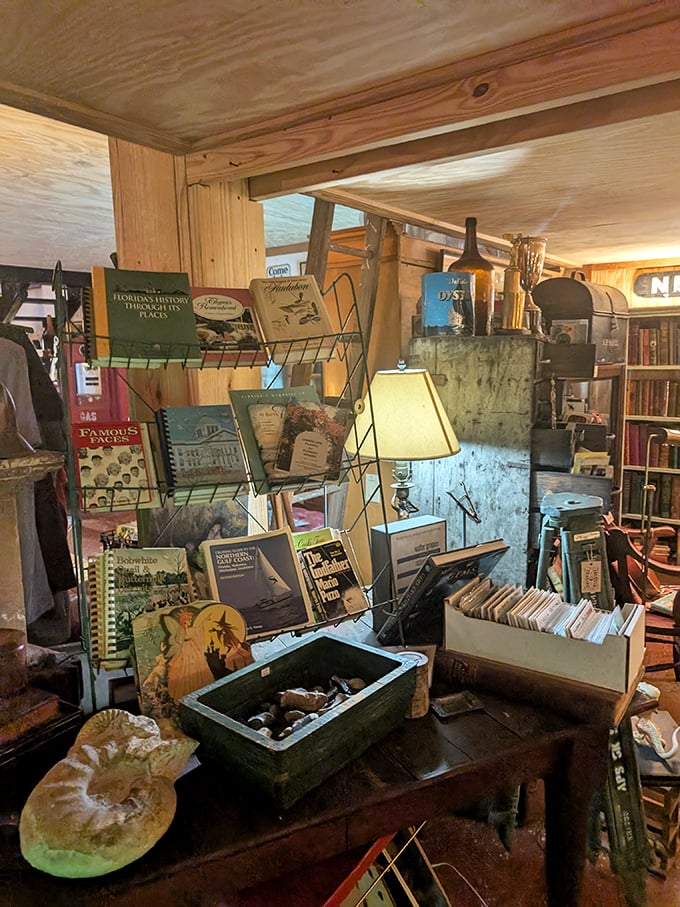 A literary corner where Florida's history sits patiently on wire racks. Books that smell like adventure and knowledge acquired before Google existed.