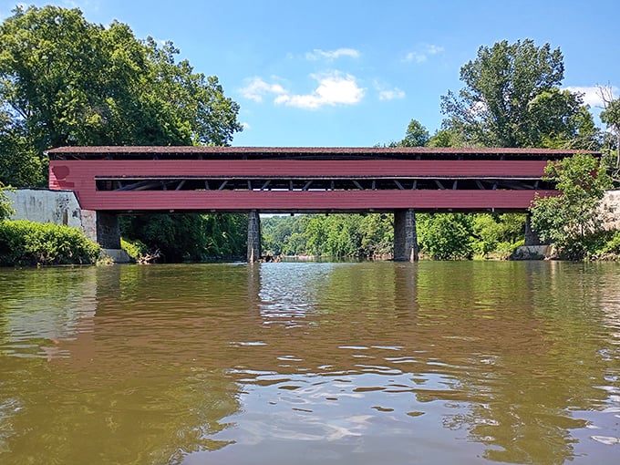 From water level, the bridge's majestic span reveals itself in full glory—a testament to both form and function hovering above the peaceful creek.