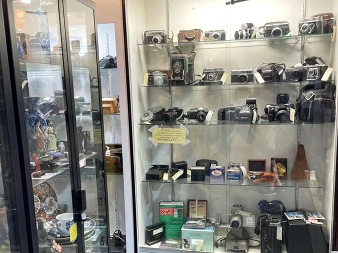 A timeline of photography history sits behind glass—each camera once captured someone's precious memories before becoming a collectible itself.