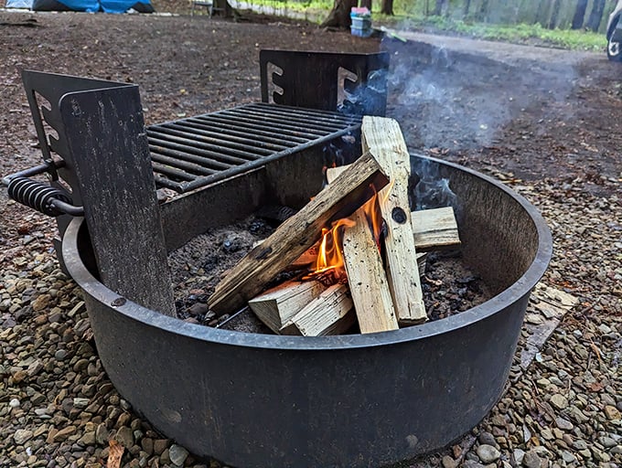 Every good camping story starts around a fire like this – just add friends, marshmallows, and tall tales about that "thing" you saw in the woods.