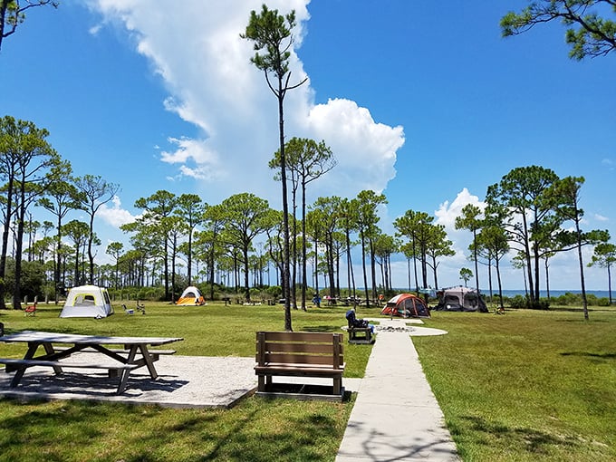 Camping with a view! These lucky tent-dwellers wake up to sea breezes and pine-scented air instead of alarm clocks and traffic reports.