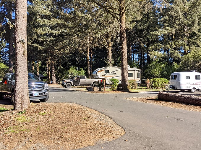Camping among the pines at Harris Beach—where your morning coffee comes with a side of forest tranquility and ocean breezes.