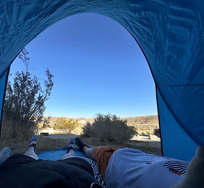 Room with a view! Nothing beats waking up to this pristine desert panorama – nature's version of a five-star accommodation.