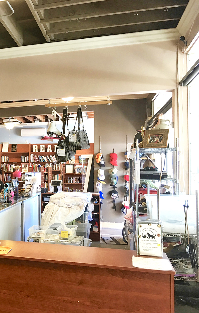 Beyond the checkout counter lies literary nirvana—shelves of stories waiting for their next chapter in someone else's home.