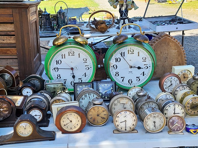 Time literally stands still at this vendor's table. Dozens of vintage timepieces silently ticking away, each one a mechanical memoir of someone's punctual past.