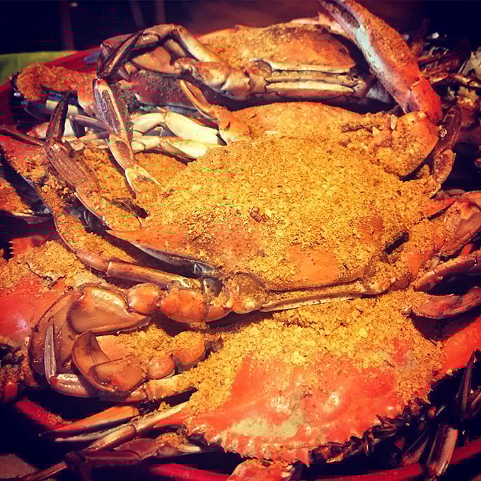 These seasoned beauties aren't just crabs—they're an interactive dining experience where the reward for your labor is sweet, tender meat worth every crack.