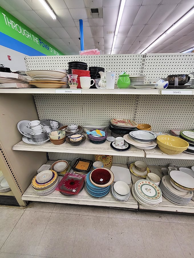 Dish paradise! From grandma's china to last season's Target collection, these plates have stories to tell and meals to serve.