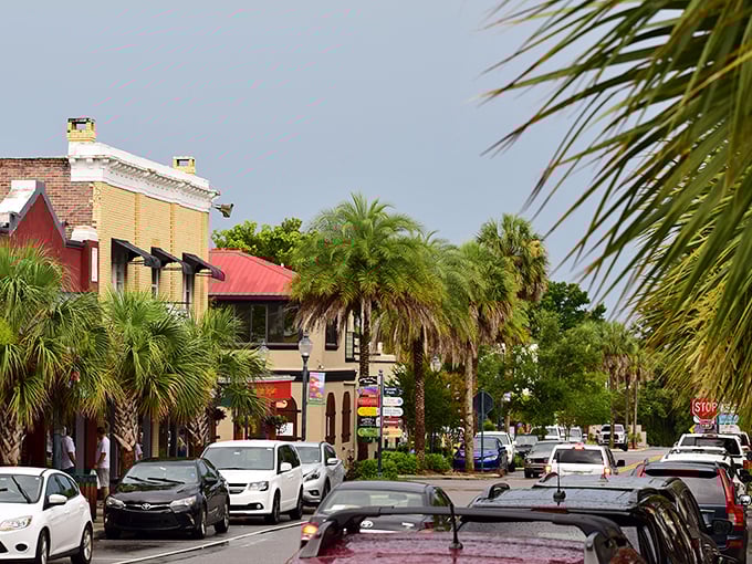Palm trees line Mount Dora's downtown streets, where Spanish moss and shopping bags hang with equal abundance. Florida charm without a single mouse-eared souvenir.