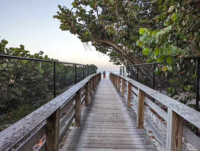 The wooden boardwalk whispers promises of what lies ahead. Like the yellow brick road, but with better scenery and fewer flying monkeys.