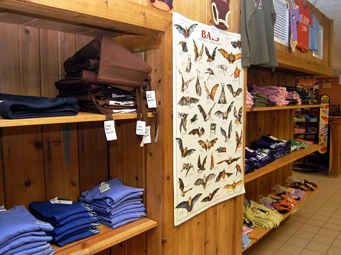 The gift shop follows cave exploration tradition—bat posters, colorful rocks, and branded merchandise await. Because what's an adventure without taking a little piece of it home?