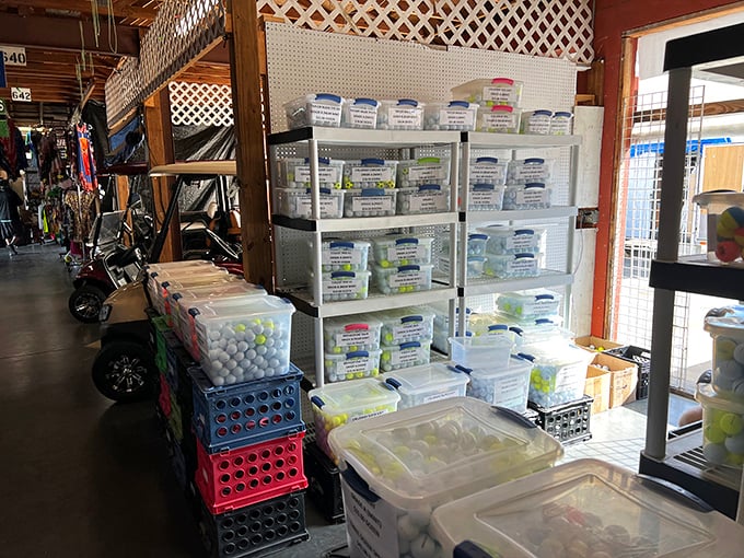Organization meets obsession in this vendor's display—proof that even the most random items find their perfect presentation at Red Barn.