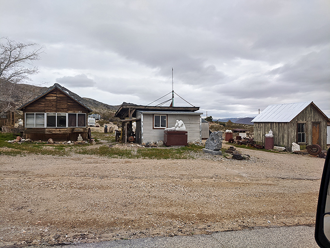 Desert living at its most creative—where homes blend into the landscape like geological features with satellite dishes.