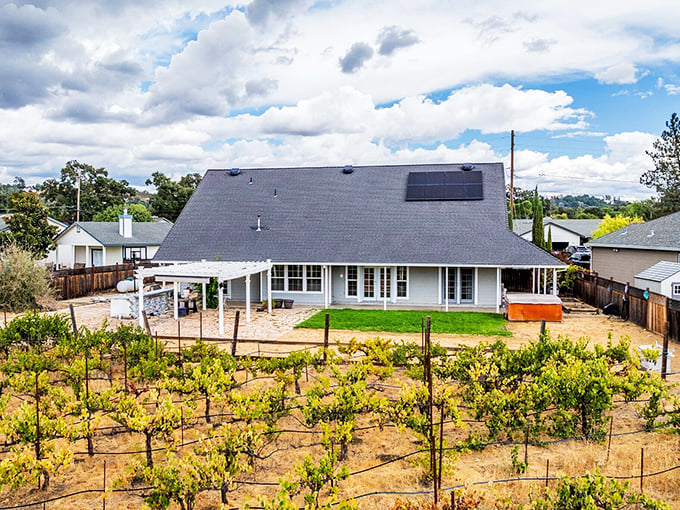 Where vineyard meets homestead – California living that whispers "you could grow grapes in your backyard" isn't just a dream here.