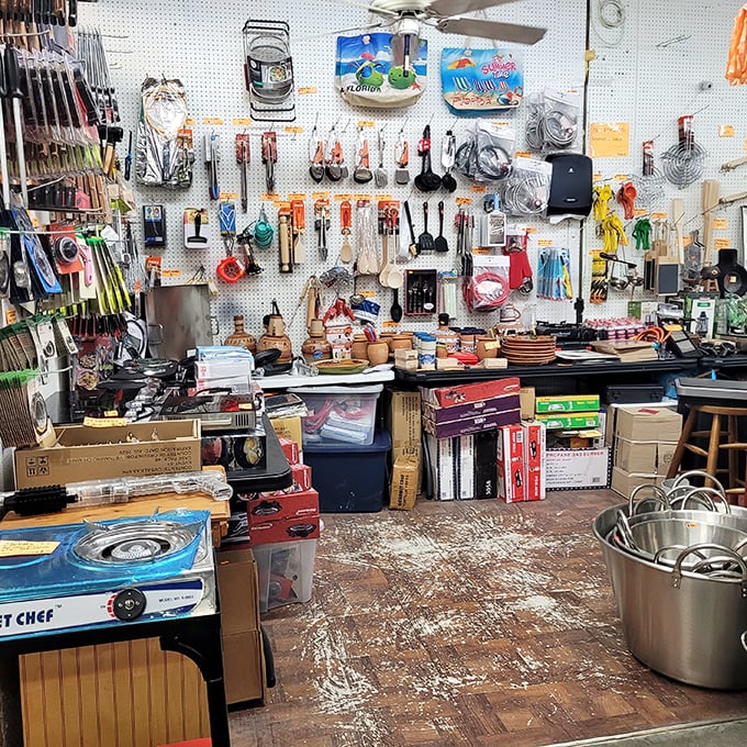 Kitchen gadget nirvana where cooking dreams are born. Like an archaeological dig for culinary tools you never knew existed but suddenly can't live without.