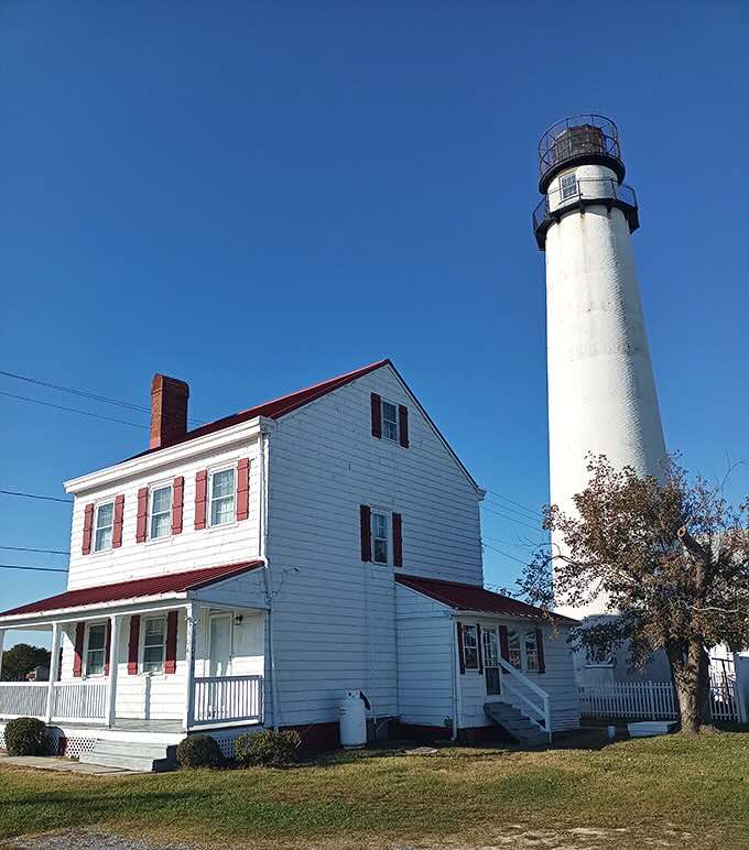 The classic red-and-white color scheme isn't just patriotic – it's practical maritime design that's aged better than most '80s fashion choices.