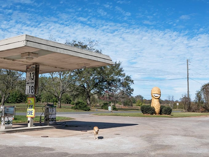 Even motorcyclists can't resist the allure of the giant peanut. Bikers and legumes – an unexpected friendship blooming in rural Georgia.