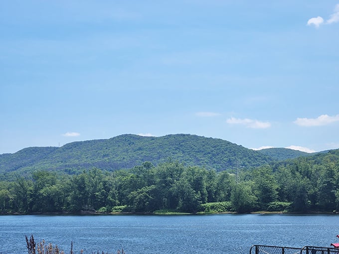 Mountains don't just rise—they pose for portraits across the Susquehanna's surface, creating mirror images that even Instagram filters can't improve.
