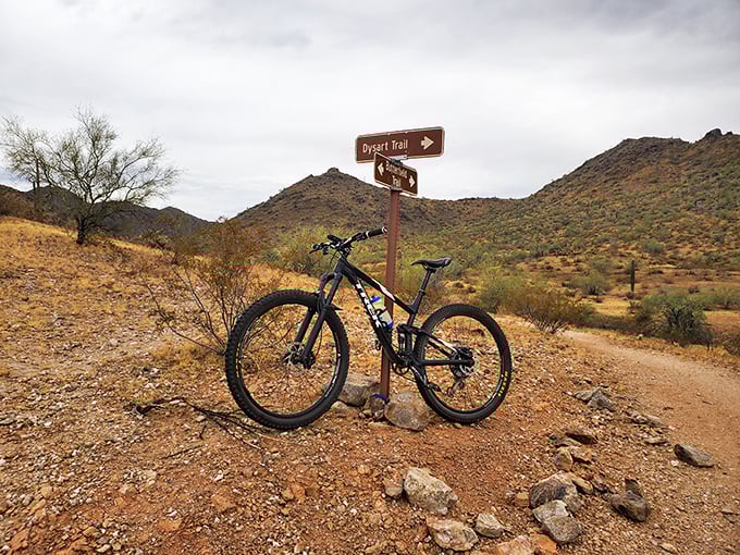 Two roads diverged in a desert park, and this mountain bike took the one less traveled – which has made all the difference in finding adventure.
