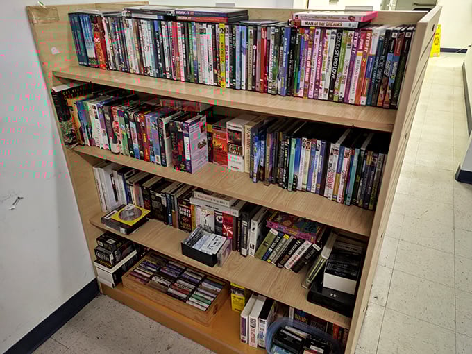 The DVD section: a physical Netflix where classics and forgotten gems live together in perfect harmony for just a couple bucks.