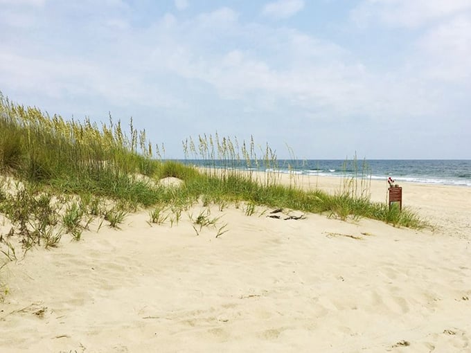 Sea oats dance in the coastal breeze as the Atlantic stretches to infinity. This is Virginia's version of meditation – no app required.