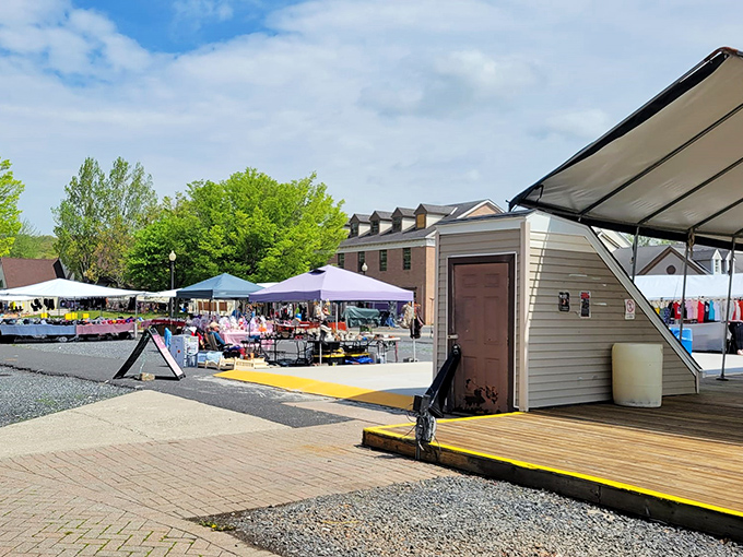 The outdoor marketplace expands under blue skies, where canopies create a bazaar atmosphere reminiscent of global markets—but with Pennsylvania practicality.